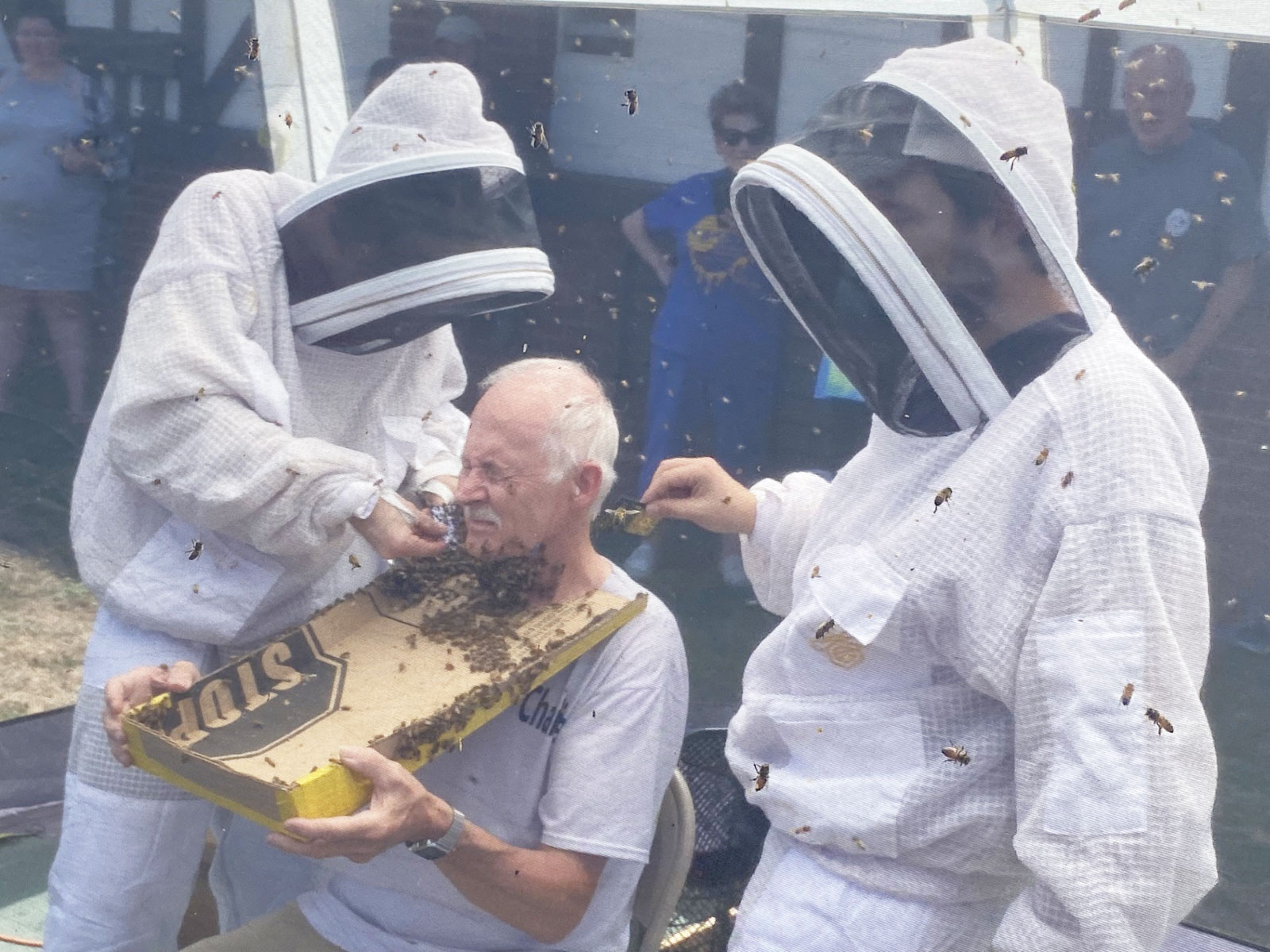 File-Honey-Festival-1 | News, Sports, Jobs - News and Sentinel